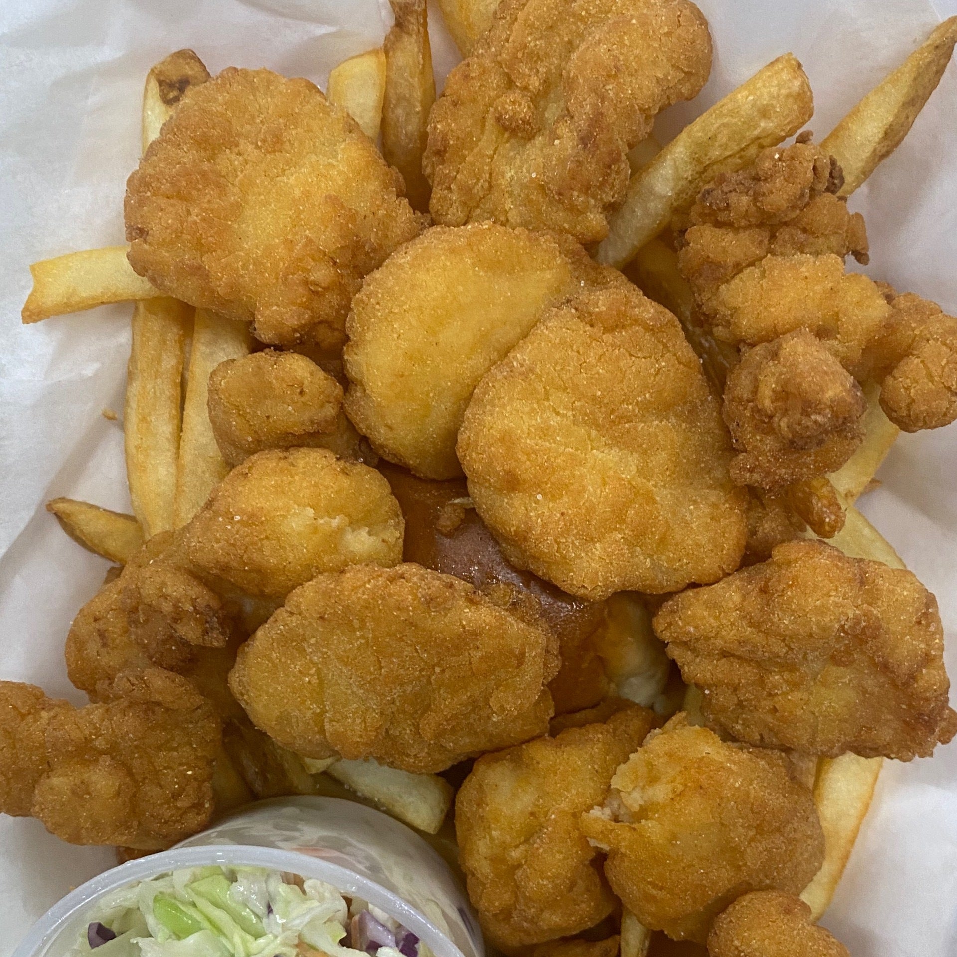 Scallop Half Pint | The Landing